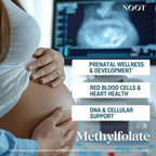 natural folate supplement for energy