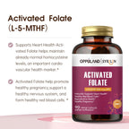Natural folate supplement for women