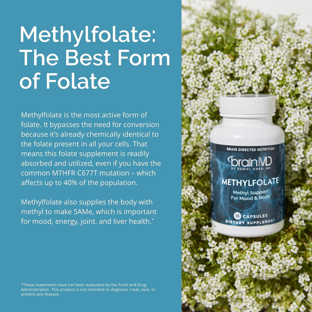 natural folic acid source BRAINMD