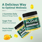 natural fruit flavour calcium gummies
