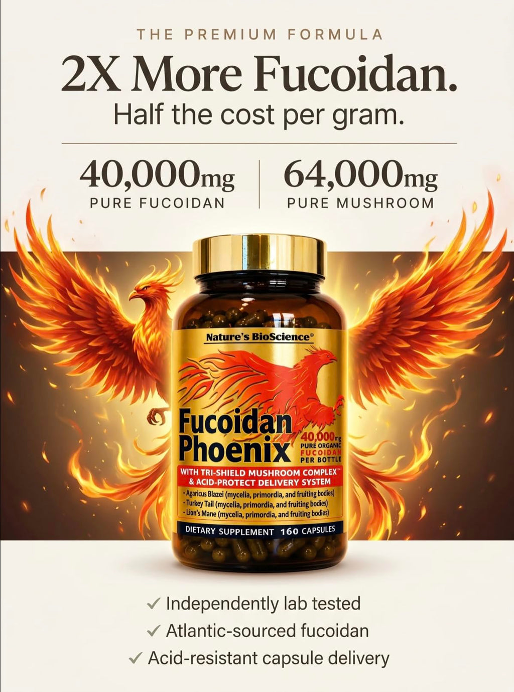 natural fucoidan for immune support