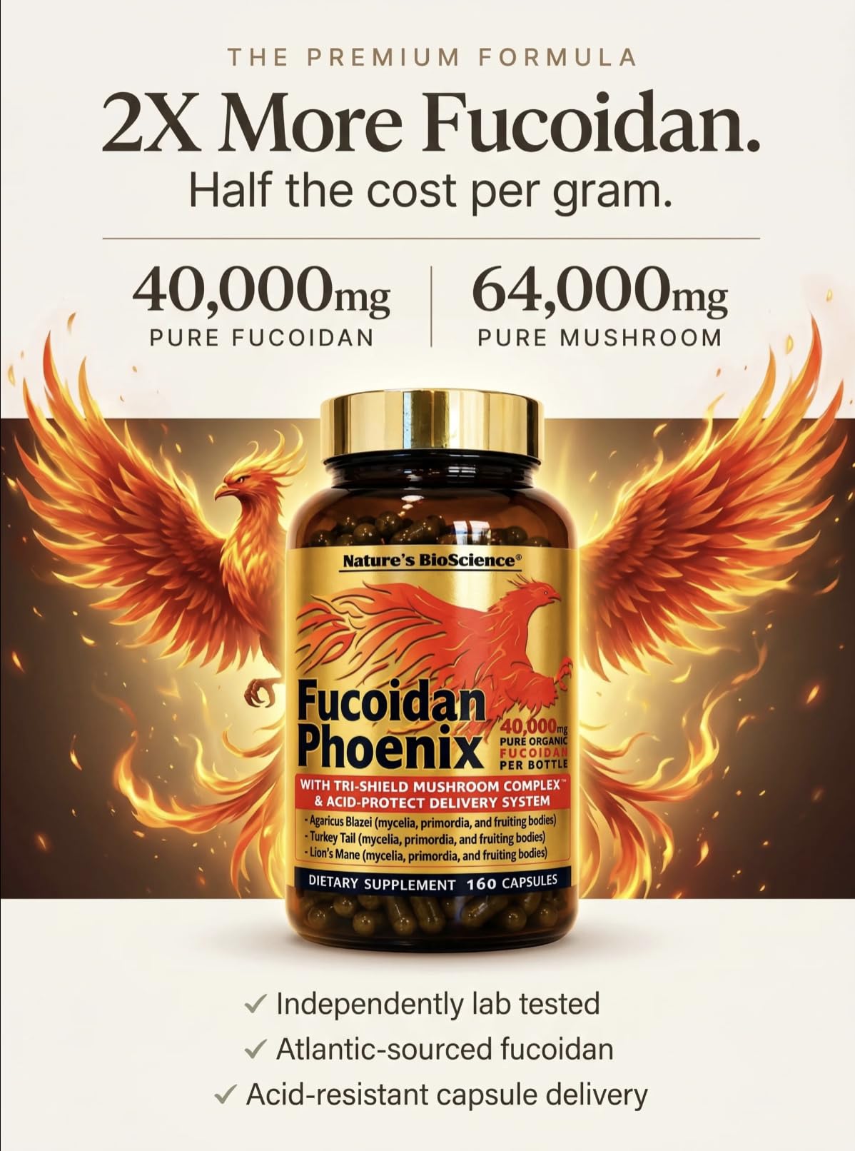 natural fucoidan for immune support