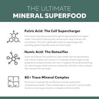 natural fulvic acid supplement