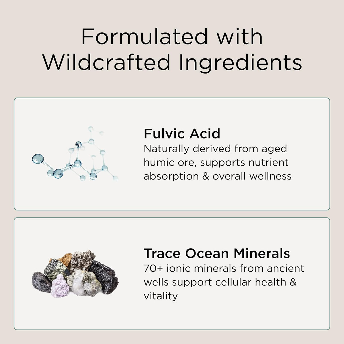 natural fulvic acid supplement