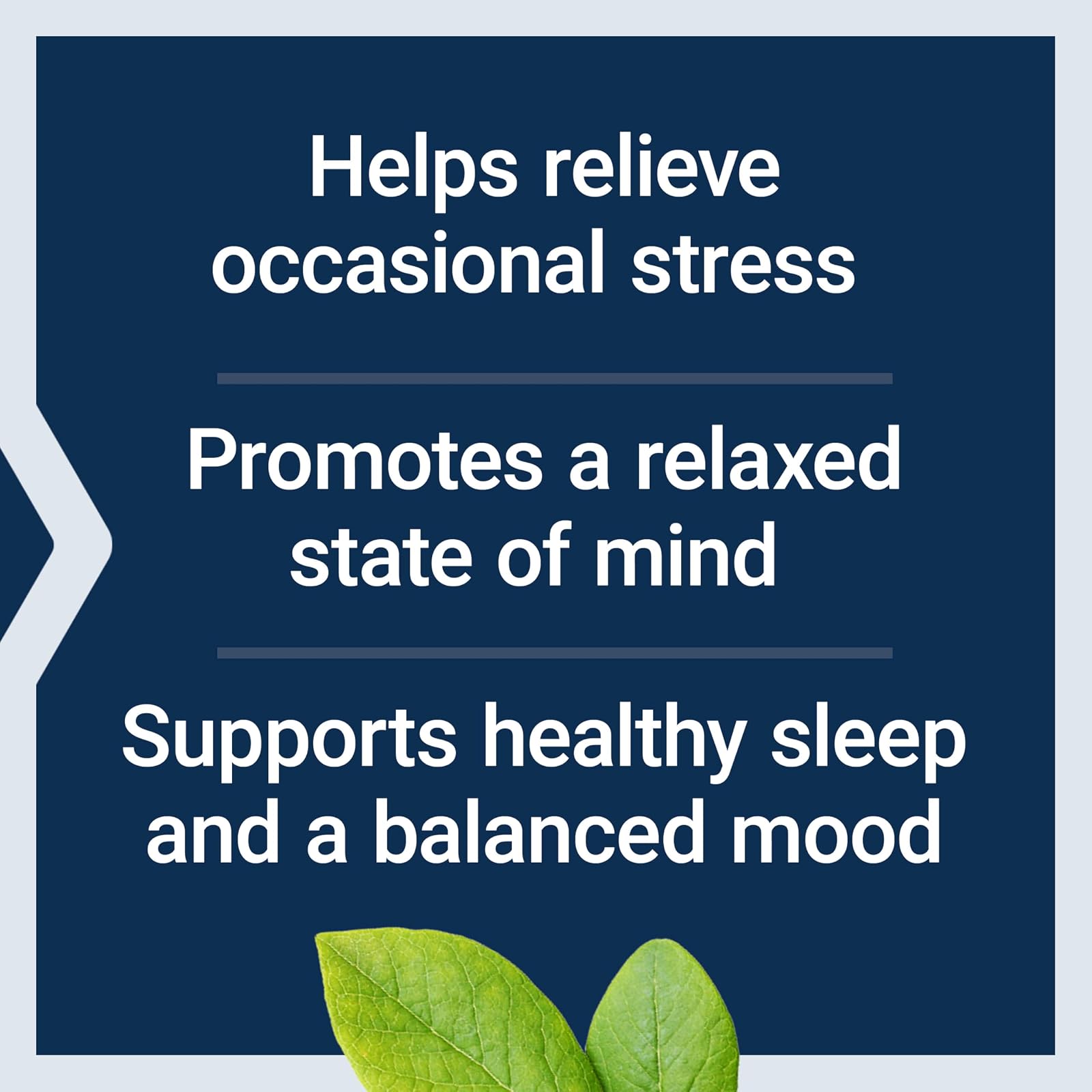natural gaba supplement for stress relief
