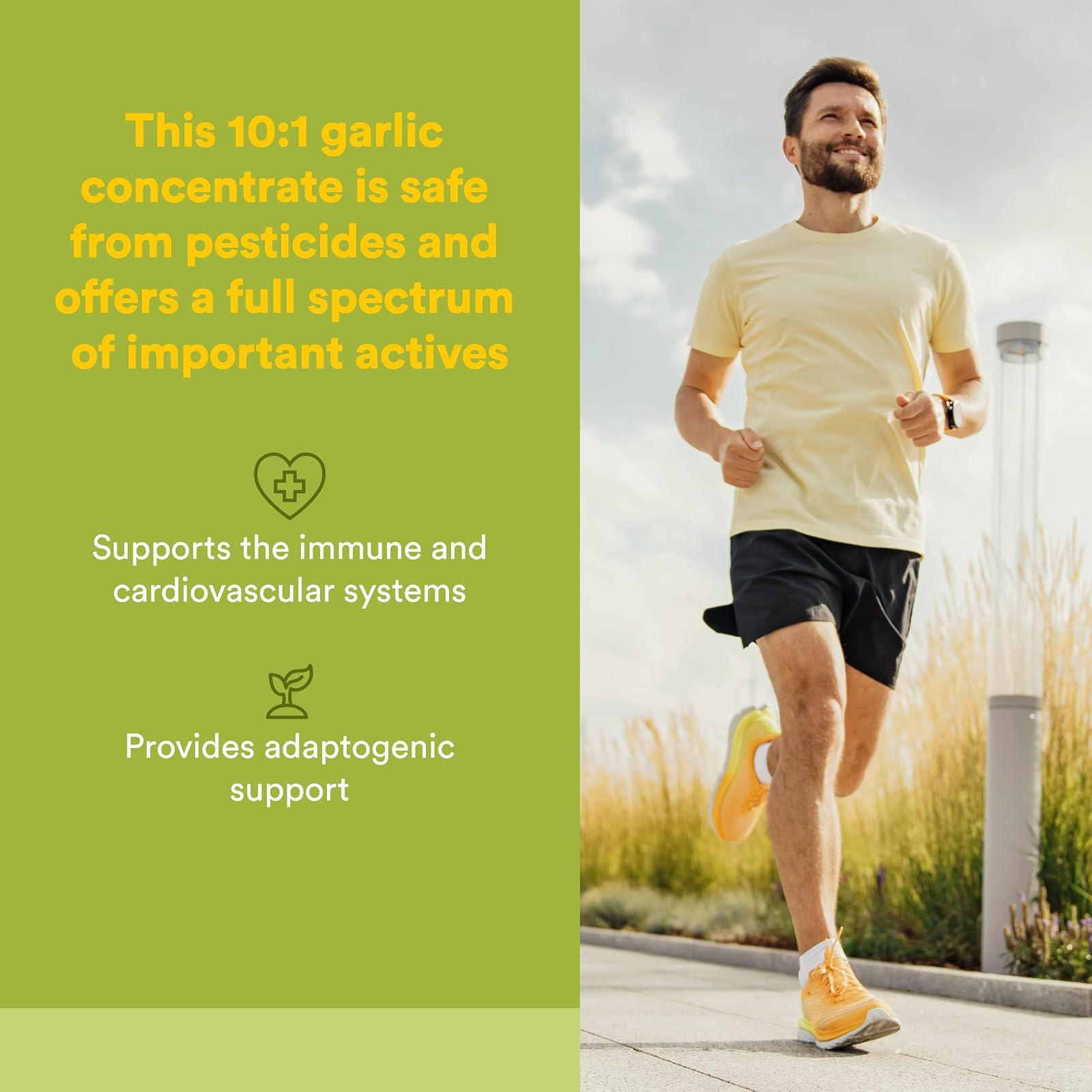 natural garlic and reishi capsules