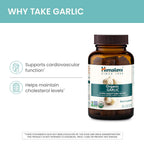 Natural garlic for digestive support
