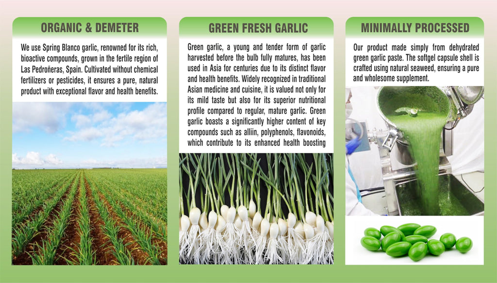 natural garlic remedy for vitality