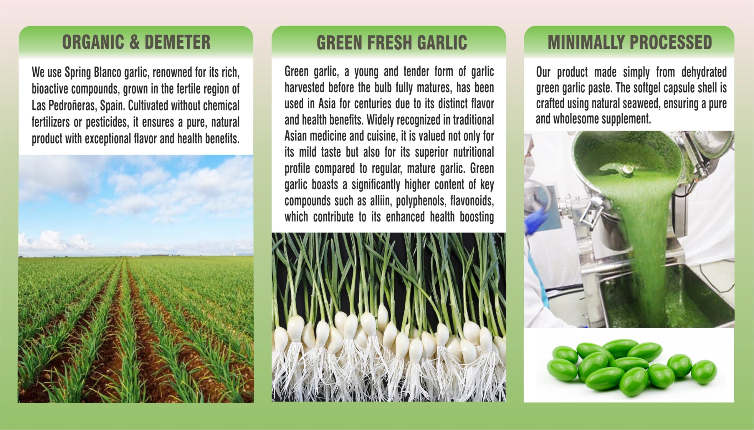 natural garlic remedy for vitality
