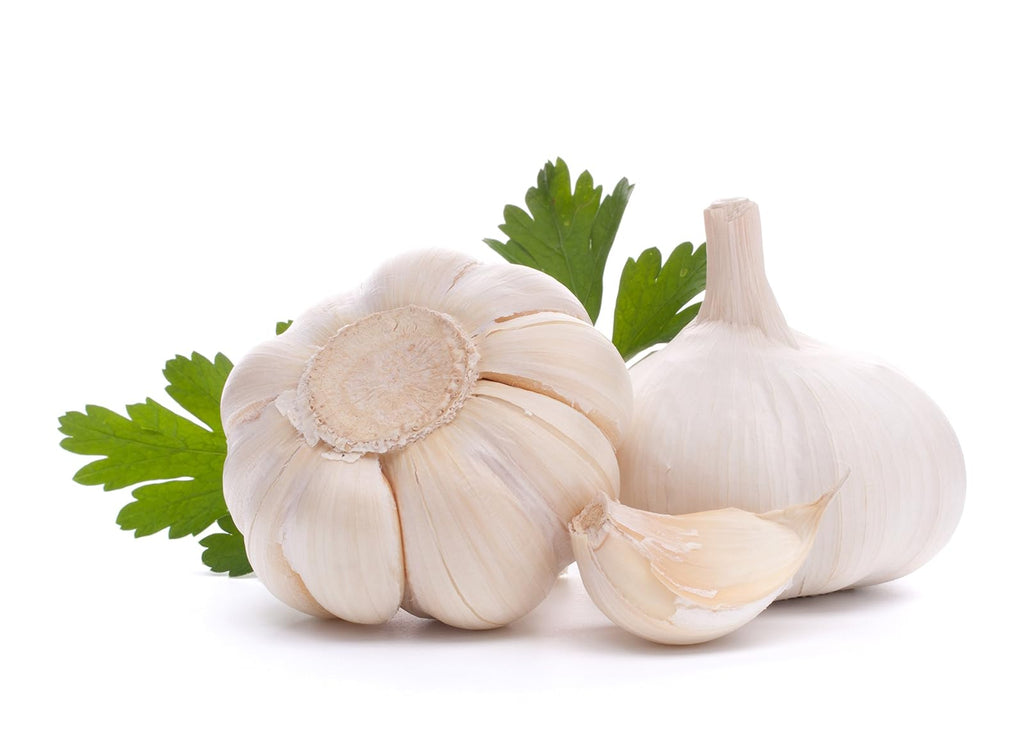 natural garlic supplement for wellness