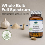 natural garlic supplement for wellness
