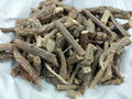 natural giloy stem for health
