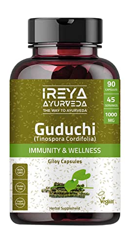 natural giloy supplement for vitality