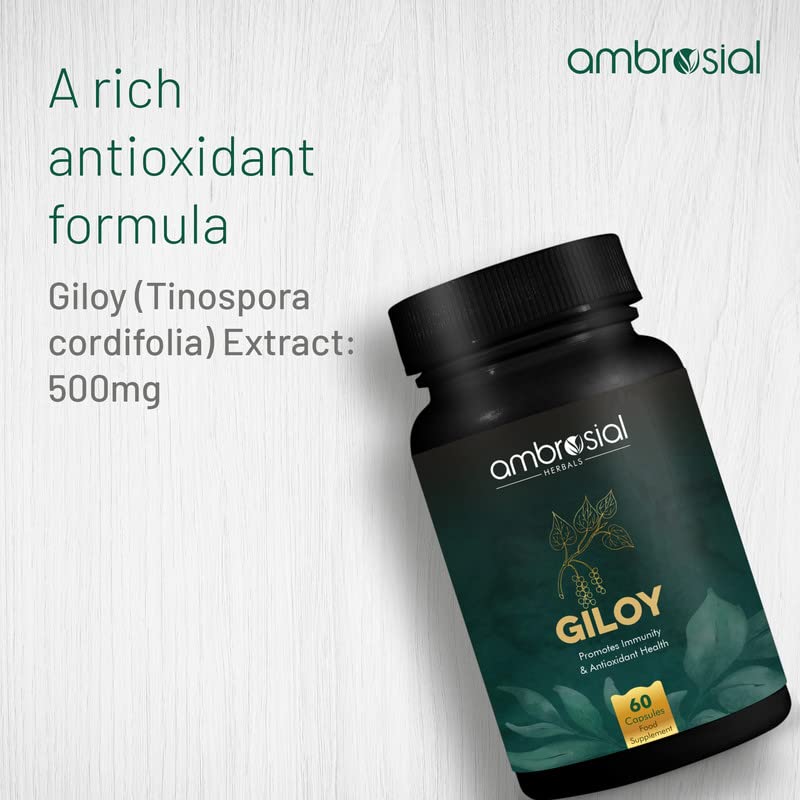 natural giloy supplement for wellness