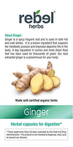 natural ginger capsules for digestion