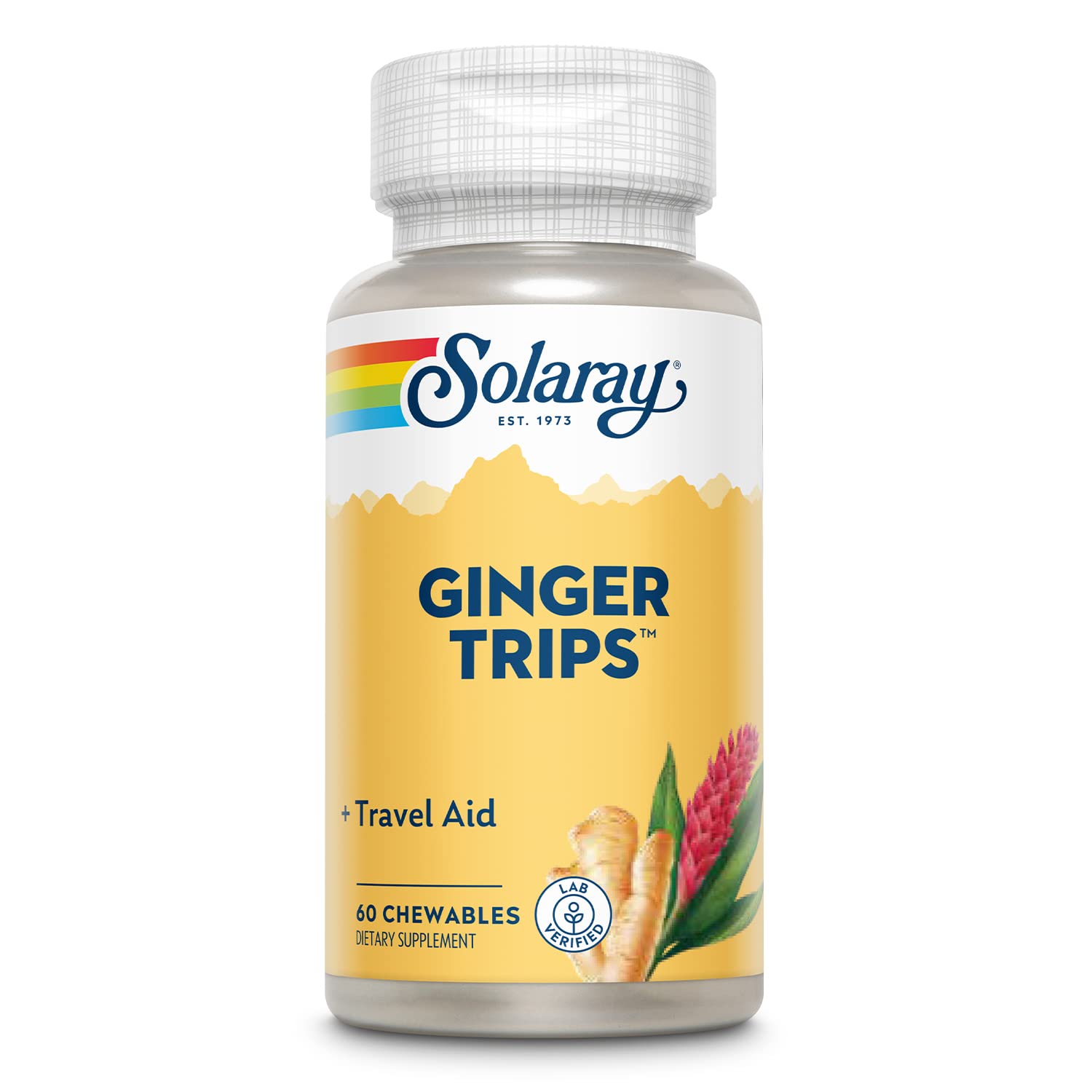 natural ginger chewable tablets
