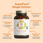 natural ginger extract for digestion