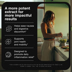 natural ginger extract for wellness