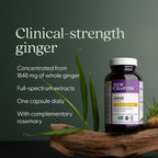 natural ginger for digestive health
