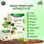 natural ginger mint infusion