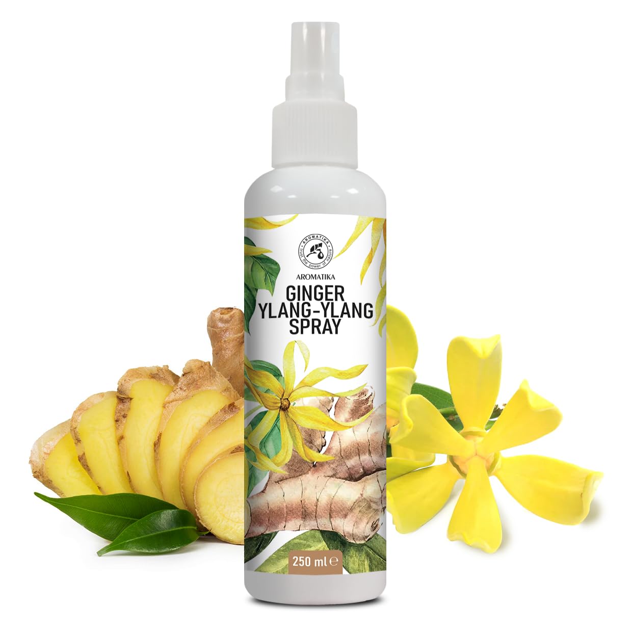 natural ginger mist for home
