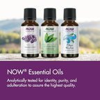 natural ginger oil for relaxation