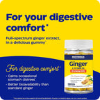 Natural ginger root supplement for nausea relief