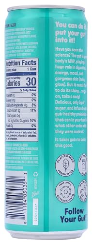 natural ginger soda for wellness
