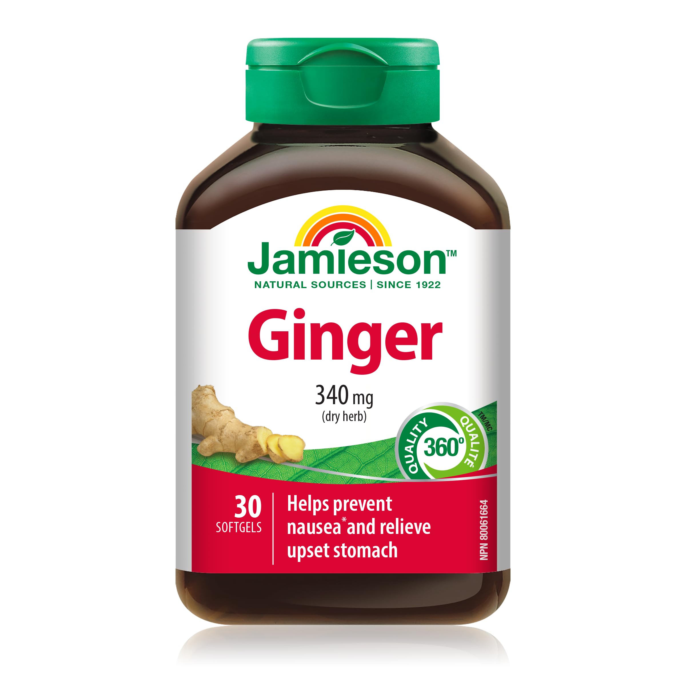 natural ginger supplement for digestion