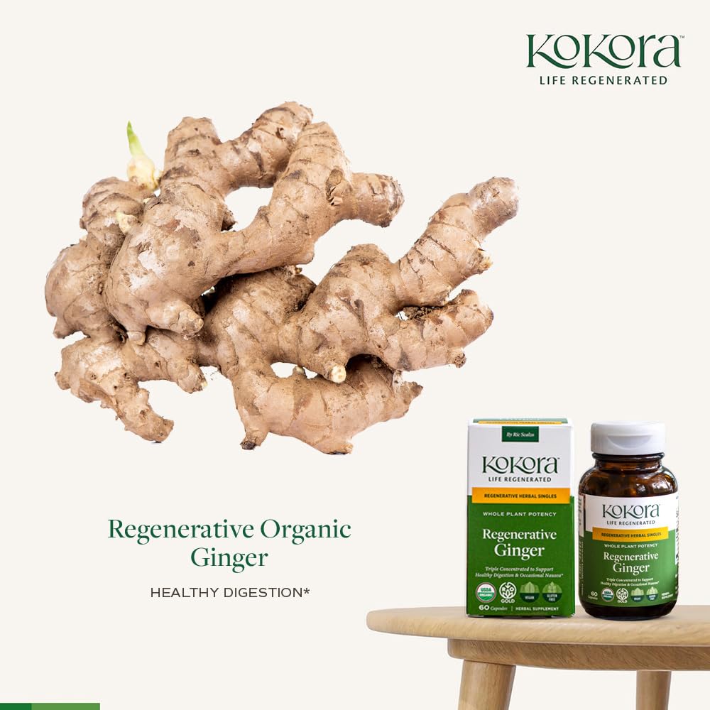 natural ginger supplement for digestion