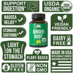 natural ginger supplement for digestion