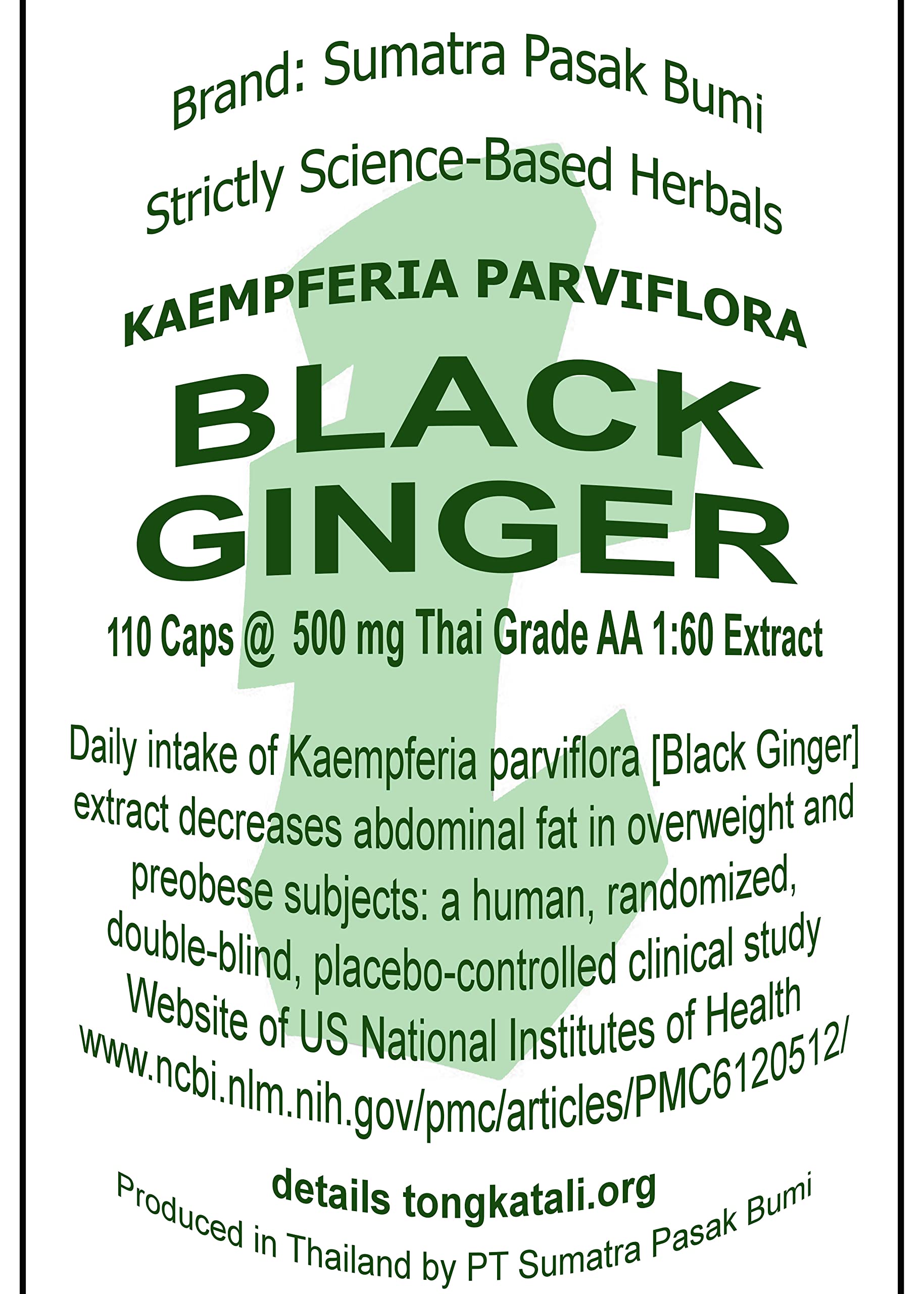 natural ginger supplement for wellness