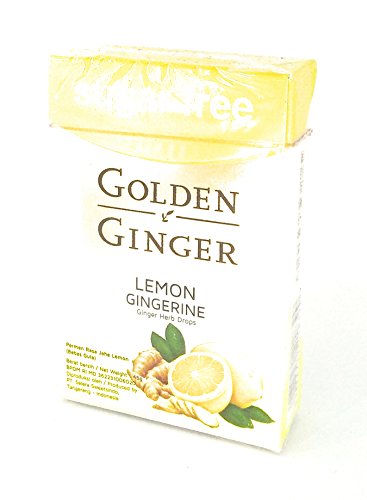 natural ginger supplement for wellness