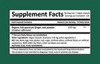 natural ginger supplement for wellness