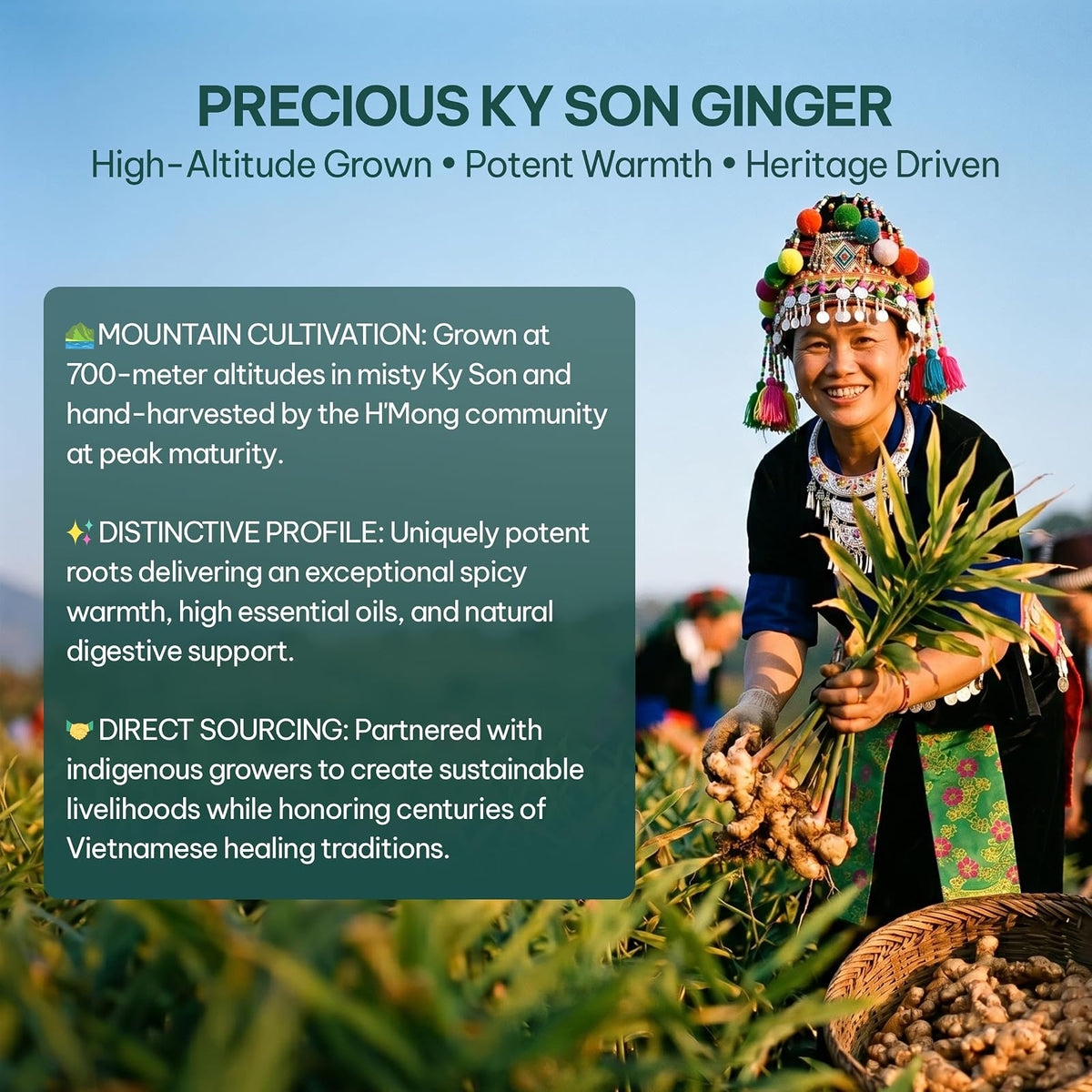 natural ginger tea for energy