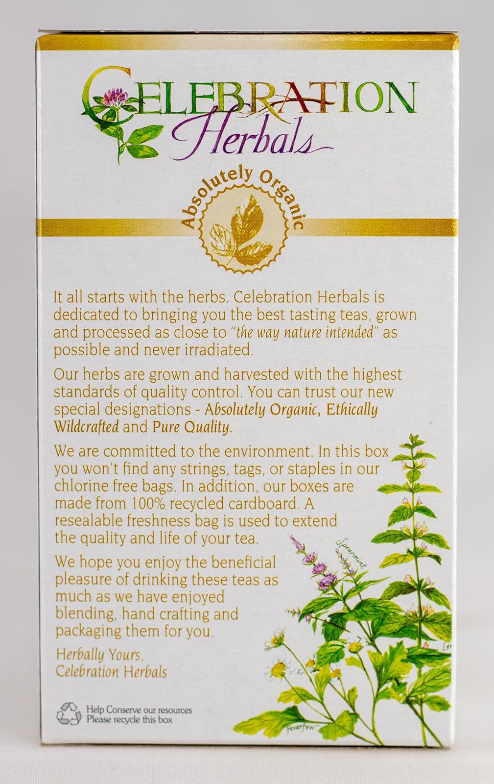 natural ginger tea for wellness
