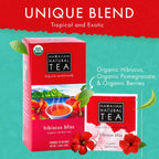 Natural ginger tea infusion bags