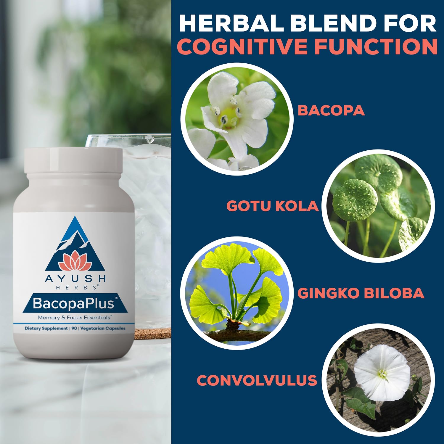 natural ginkgo biloba alternative