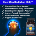 natural ginkgo biloba brain support