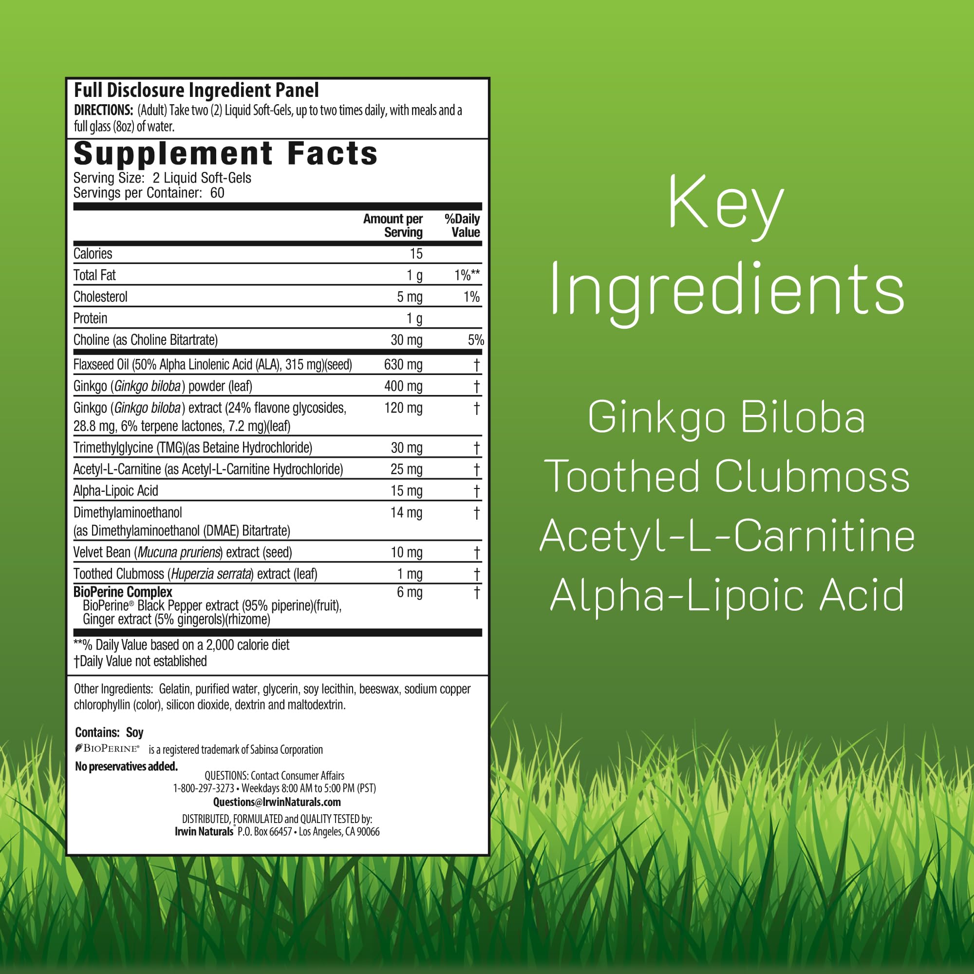 natural ginkgo biloba brain support