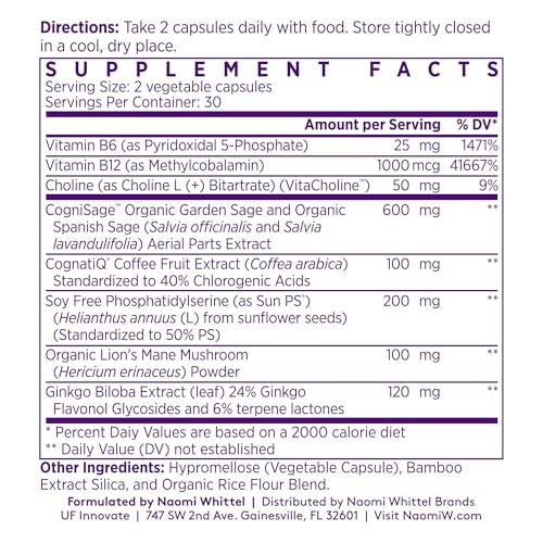 natural ginkgo biloba brain support