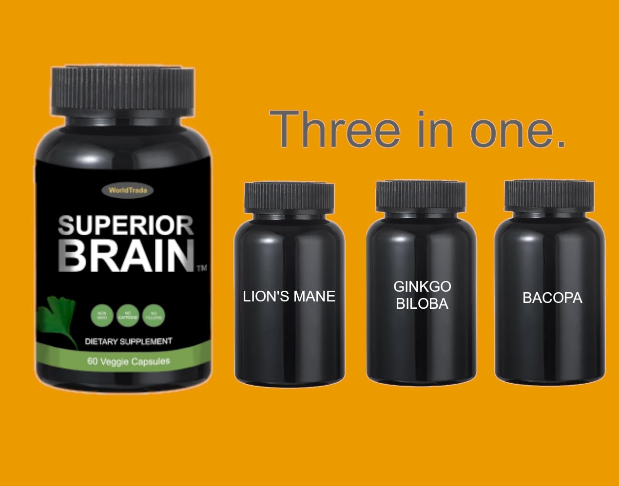 natural ginkgo biloba capsules