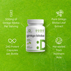 natural ginkgo biloba energy booster