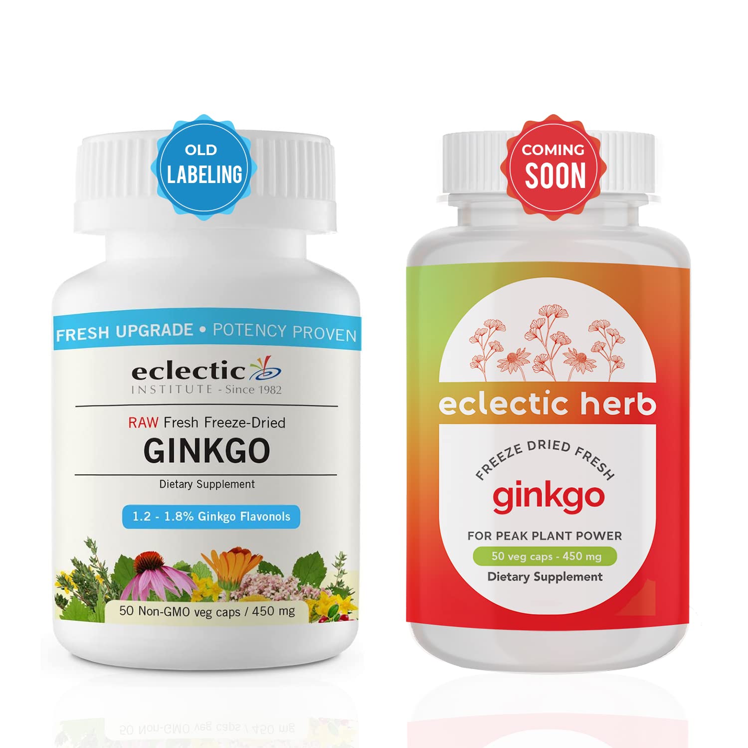 Natural Ginkgo Biloba extract 450 mg