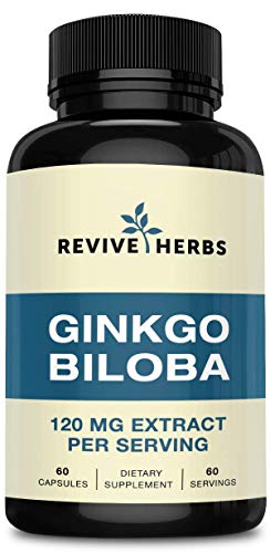 natural ginkgo biloba extract capsules