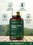 natural ginkgo biloba extract tablets