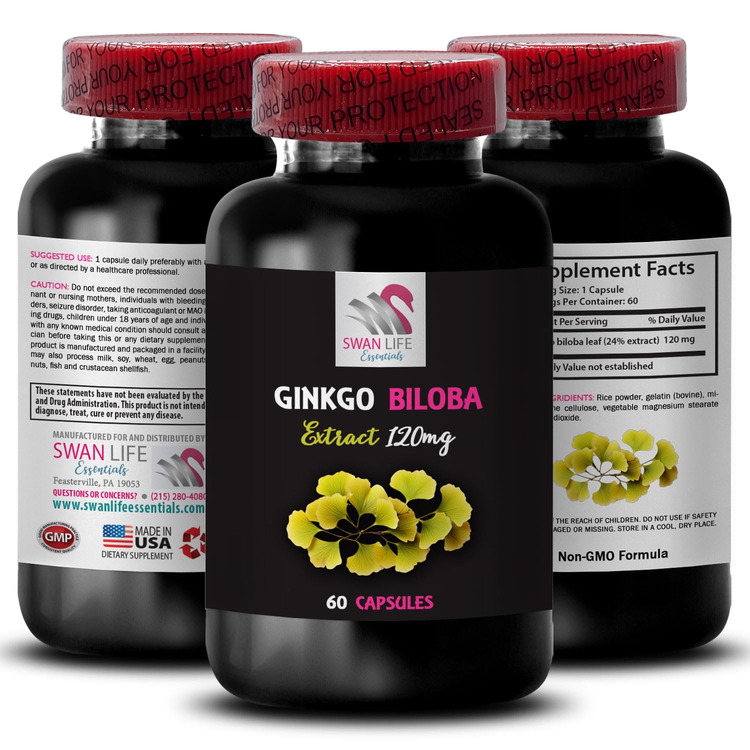 natural ginkgo biloba extract tablets