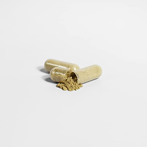 natural ginkgo biloba extract