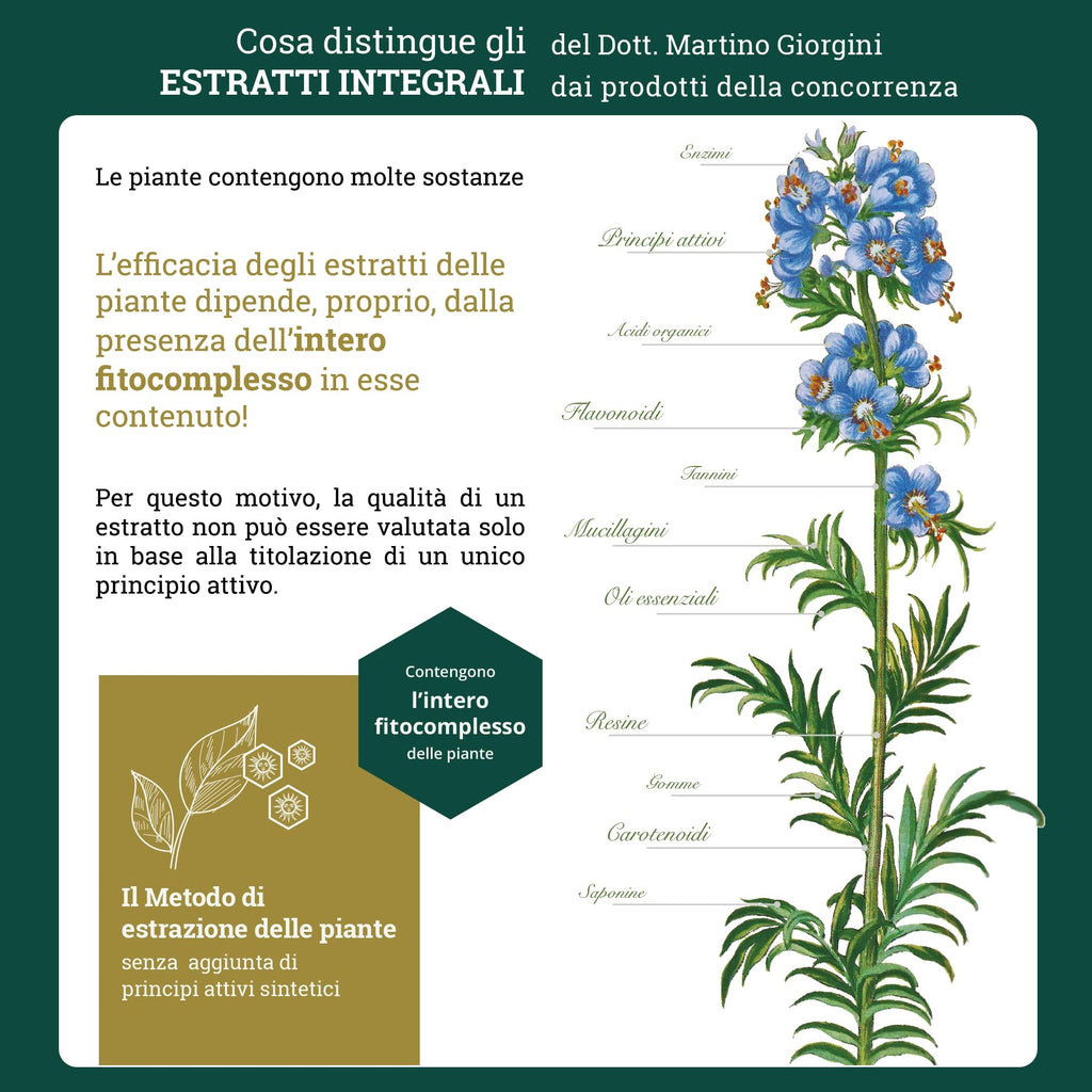natural ginkgo biloba extract