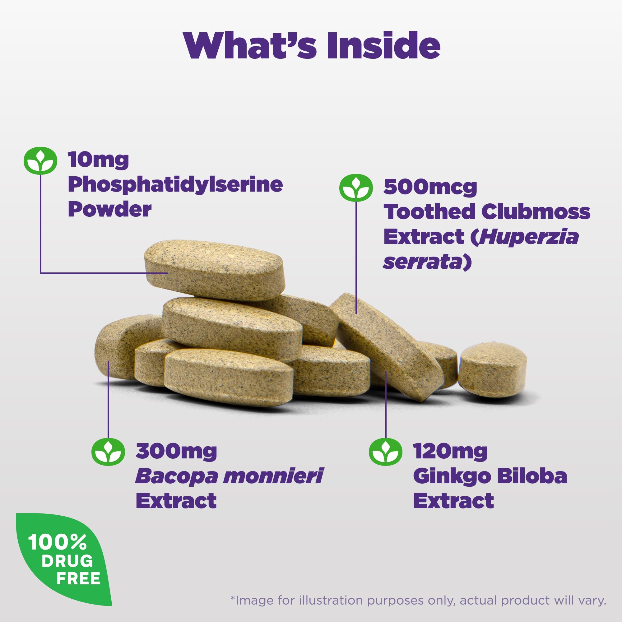 natural ginkgo biloba for cognitive function
